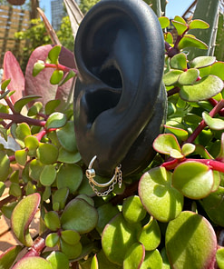 Products – Identity Body Piercing