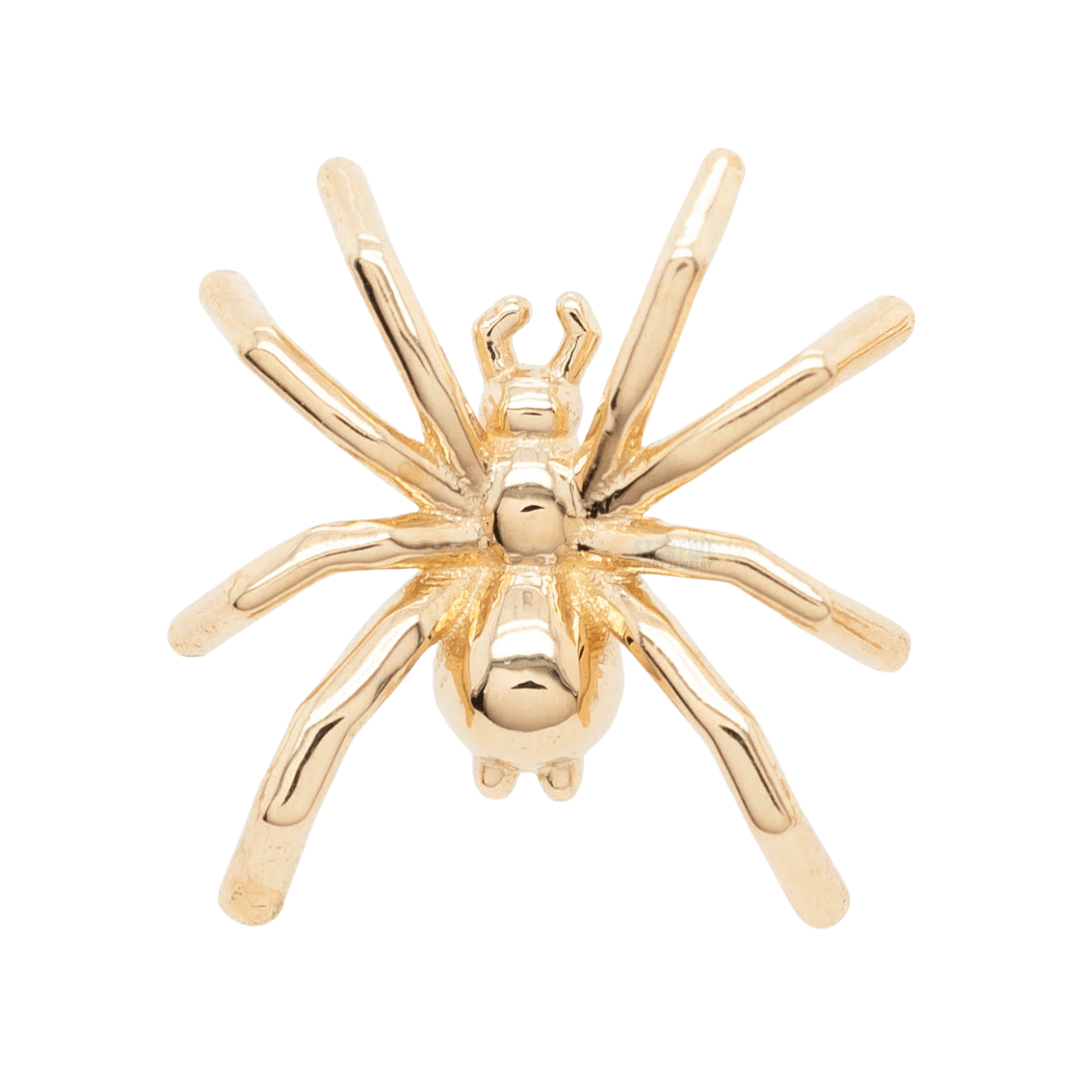 Spider Threadless End – Identity Body Piercing