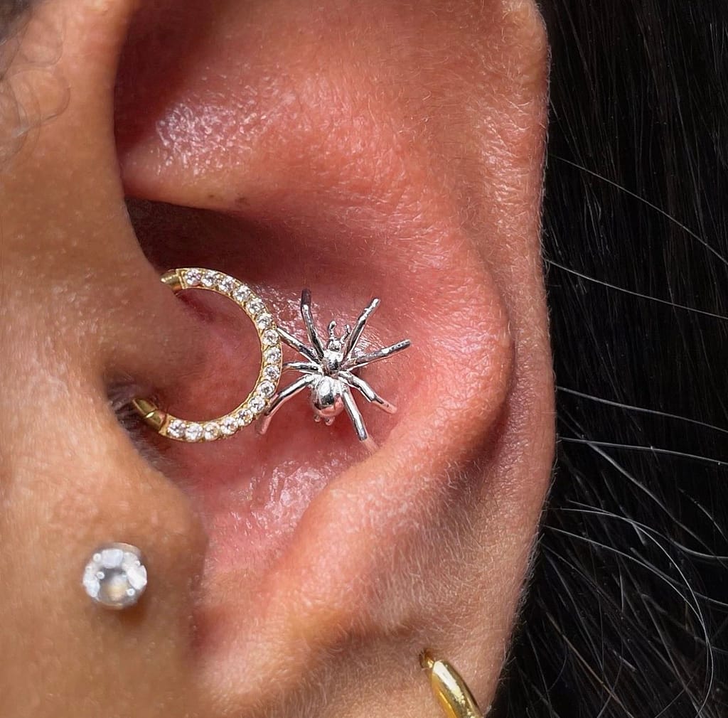 Spider Threadless End – Identity Body Piercing