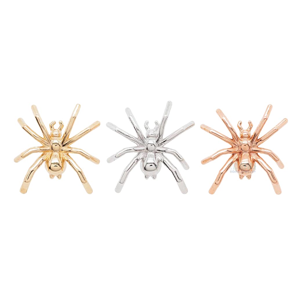 Spider Threadless End – Identity Body Piercing
