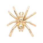 Spider Threadless End – Identity Body Piercing