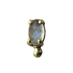 Buzz Ring – Identity Body Piercing