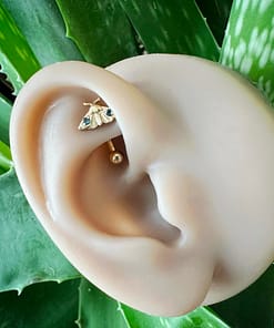 SHOP – Identity Body Piercing