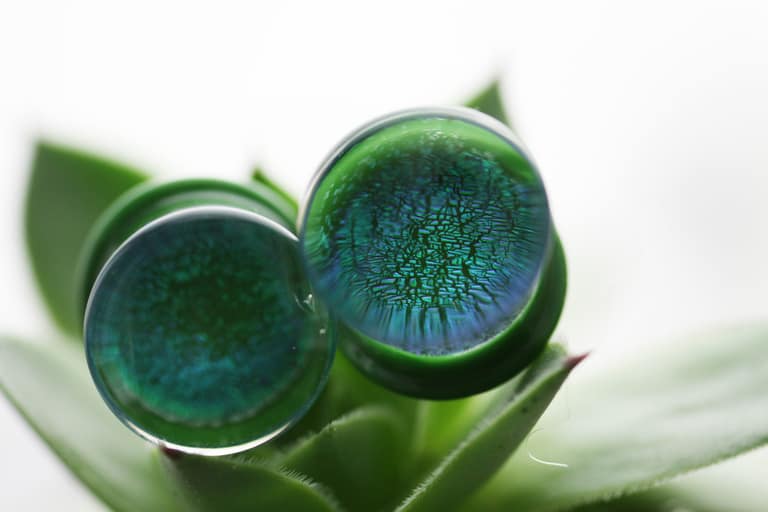 Stoned Joy Plugs – Identity Body Piercing