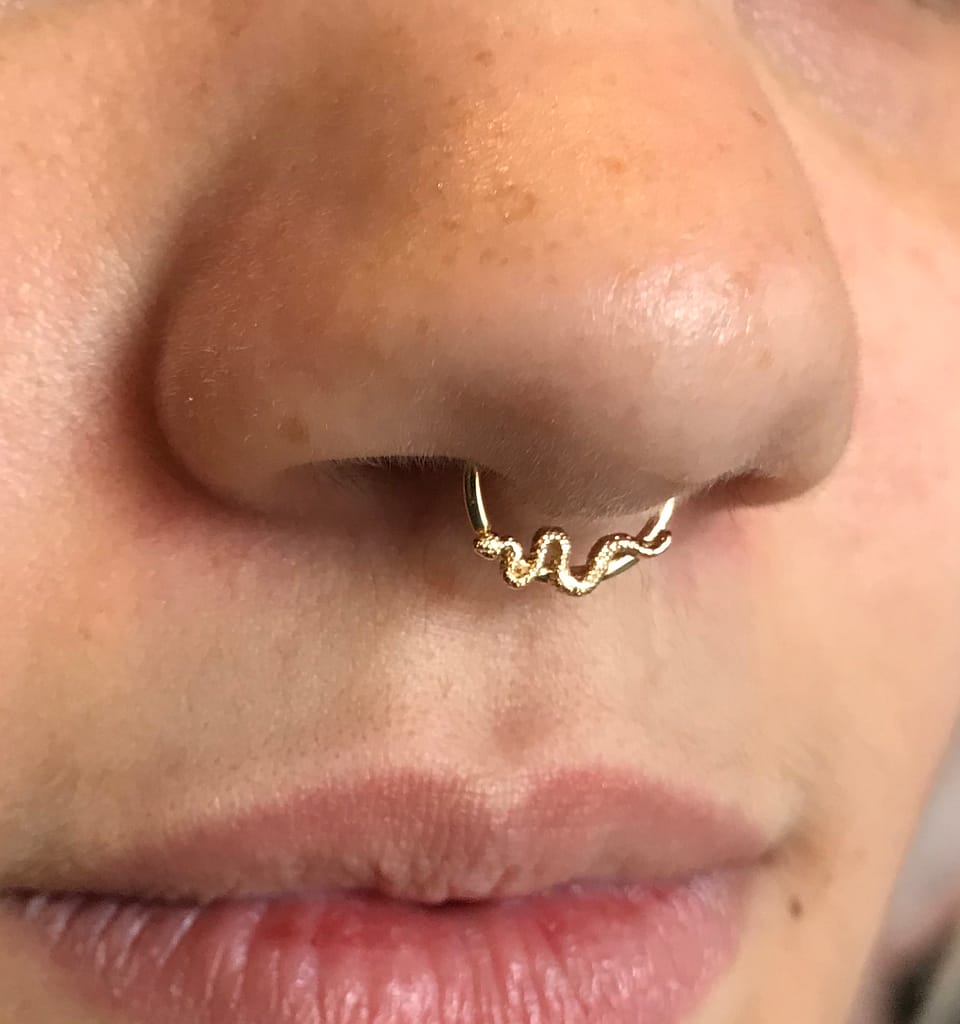 Snake Ring – Identity Body Piercing